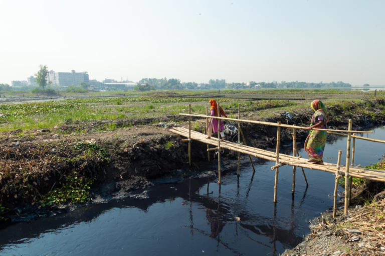 Material world: Polybion now in massive Mexico pension fund's pockets