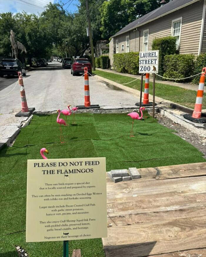 60 strange things people could not believe they saw on the street