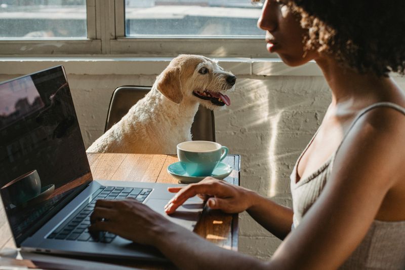 Is your dog completely loyal to you? These 10 signs confirm that they’d ...