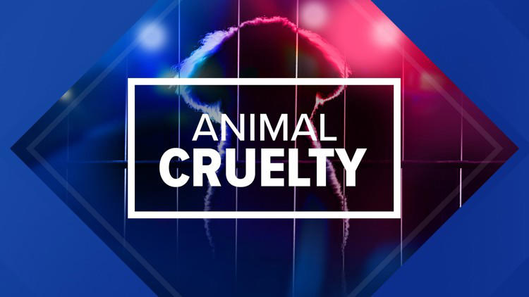 Man charged with animal cruelty after police find 8 dogs, 9 puppies ...