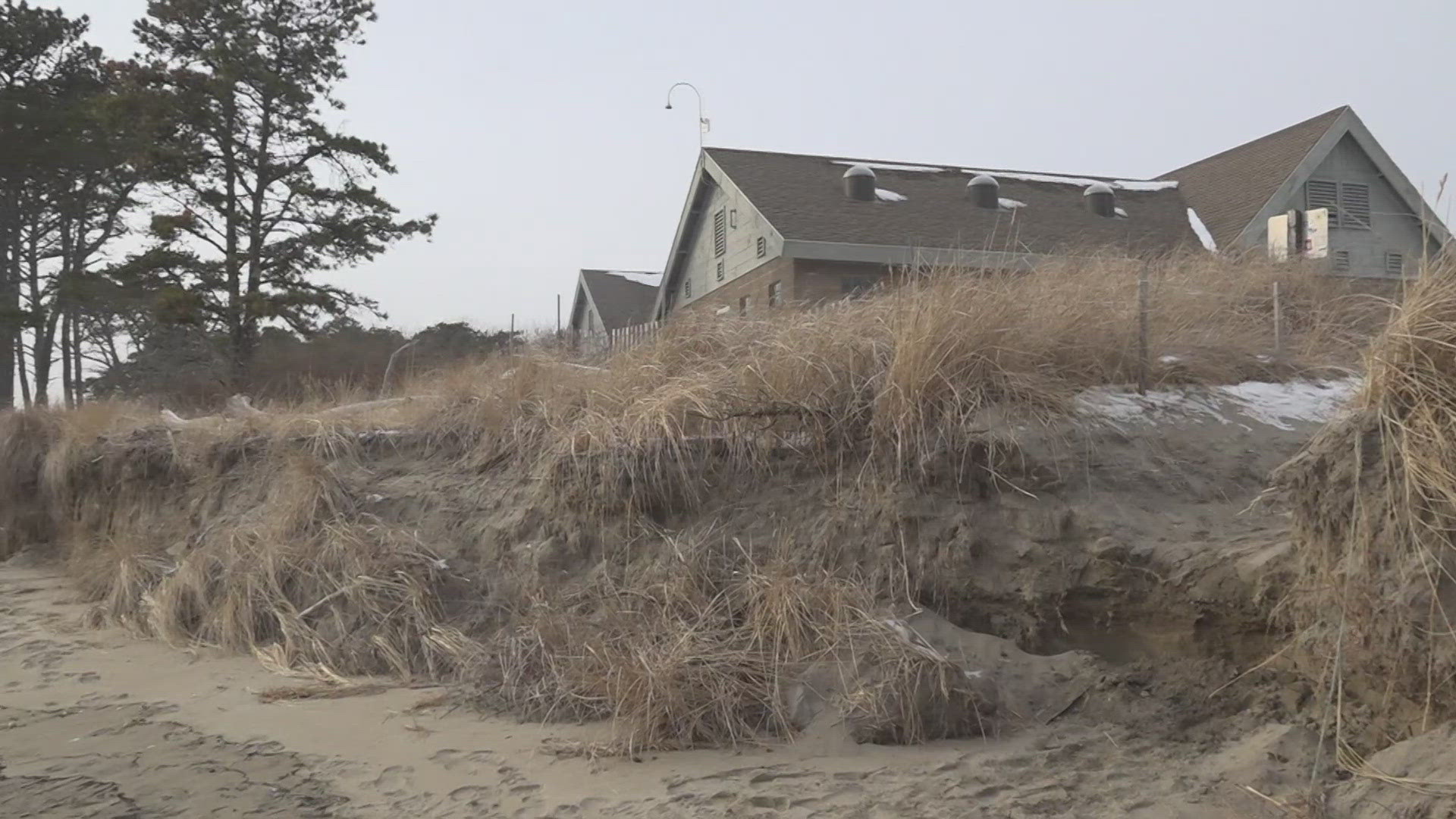Popham Beach faces severe erosion despite tree dune restoration
