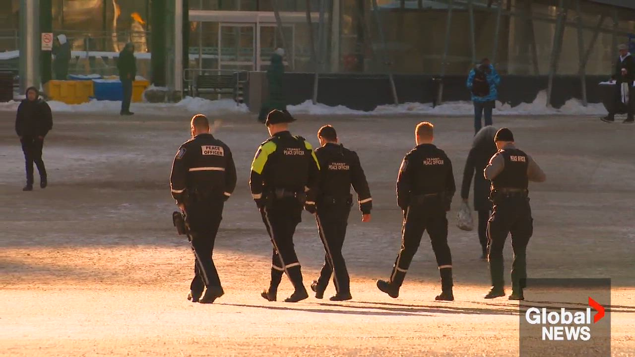 Edmonton adding 30 transit peace officers in effort to improve safety