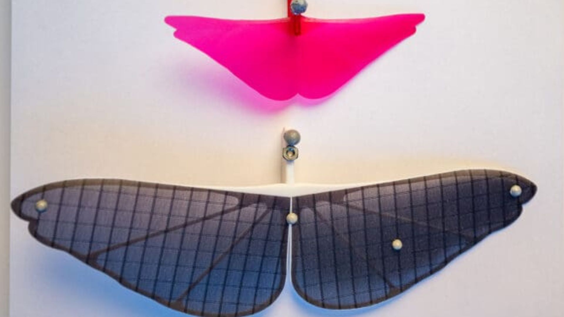 US engineers’ new wing design helps small robots fly longer by gliding ...