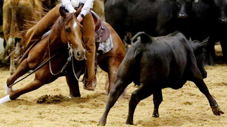 World-class TR9 ranch and equestrian facility purchased by Theorem Ranch