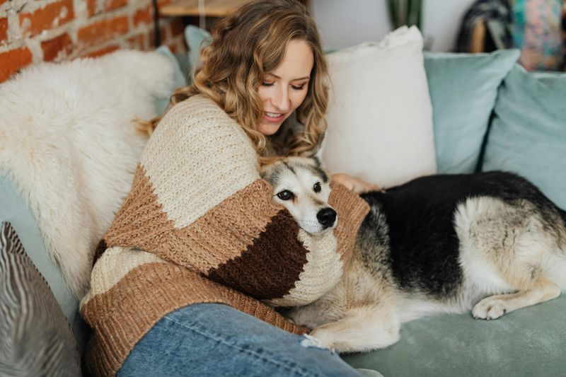 10 signs your dog is emotionally regulating around you