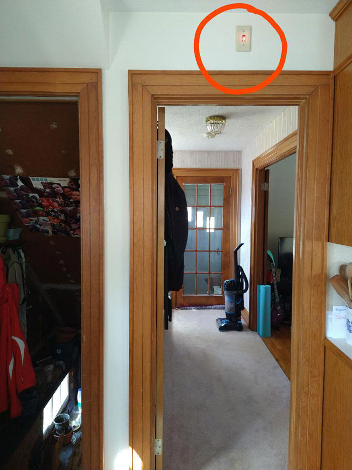 49 times people had no clue what they were looking at, but the internet ...