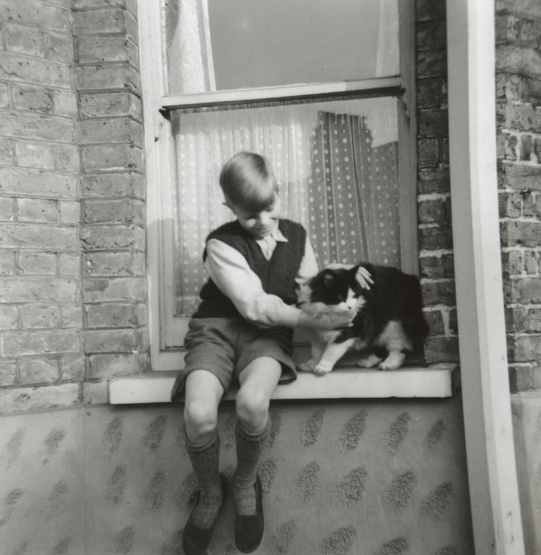 David Bowie superfans can now visit legendary singer’s childhood home