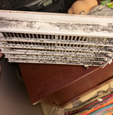 Lipscomb students sue Nashville university, say dorm mold made them sick