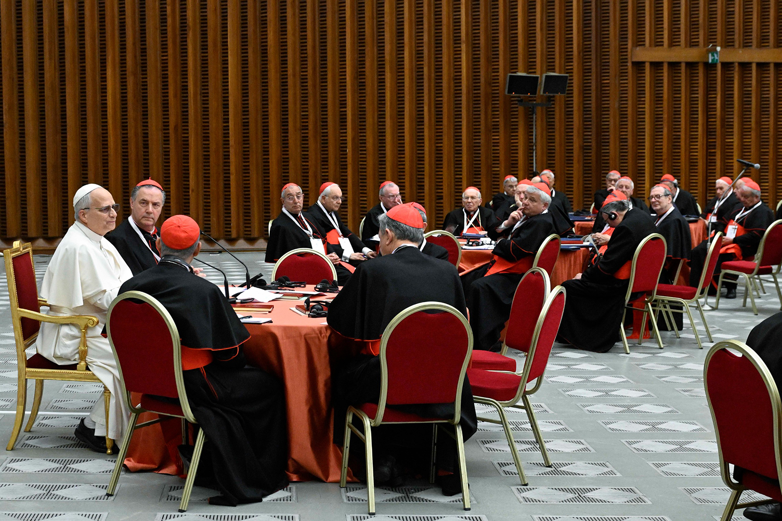 Pope Leo gathers cardinals in first consistory to chart church’s path ...