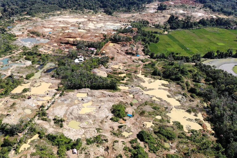 Environmental crime prevention is moving into the diplomatic mainstream ...