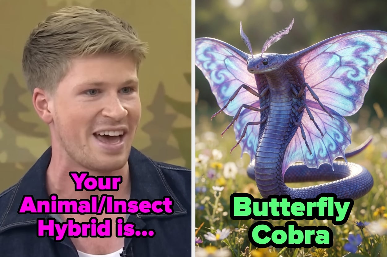 Your answers will decide which bizarre insect-animal hybrid you truly ...