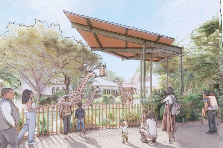 A new look is taking shape at the Houston Zoo