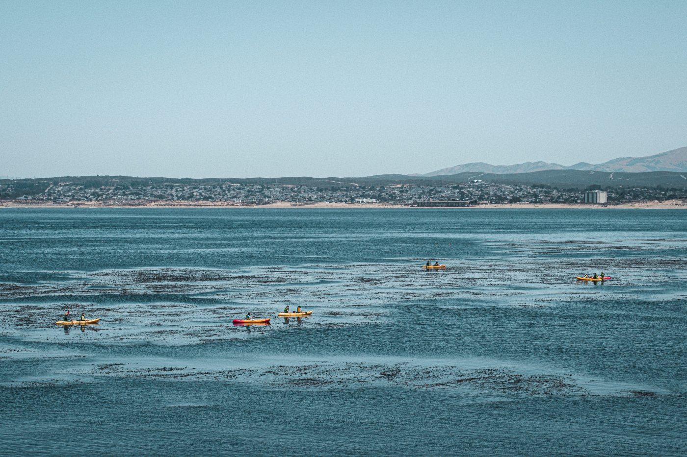 ‘Stand up, save our coast’ addresses risk of offshore oil drilling