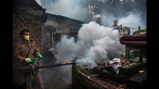 Dip in vector-borne diseases in Maha in 2025; malaria shows slight increase