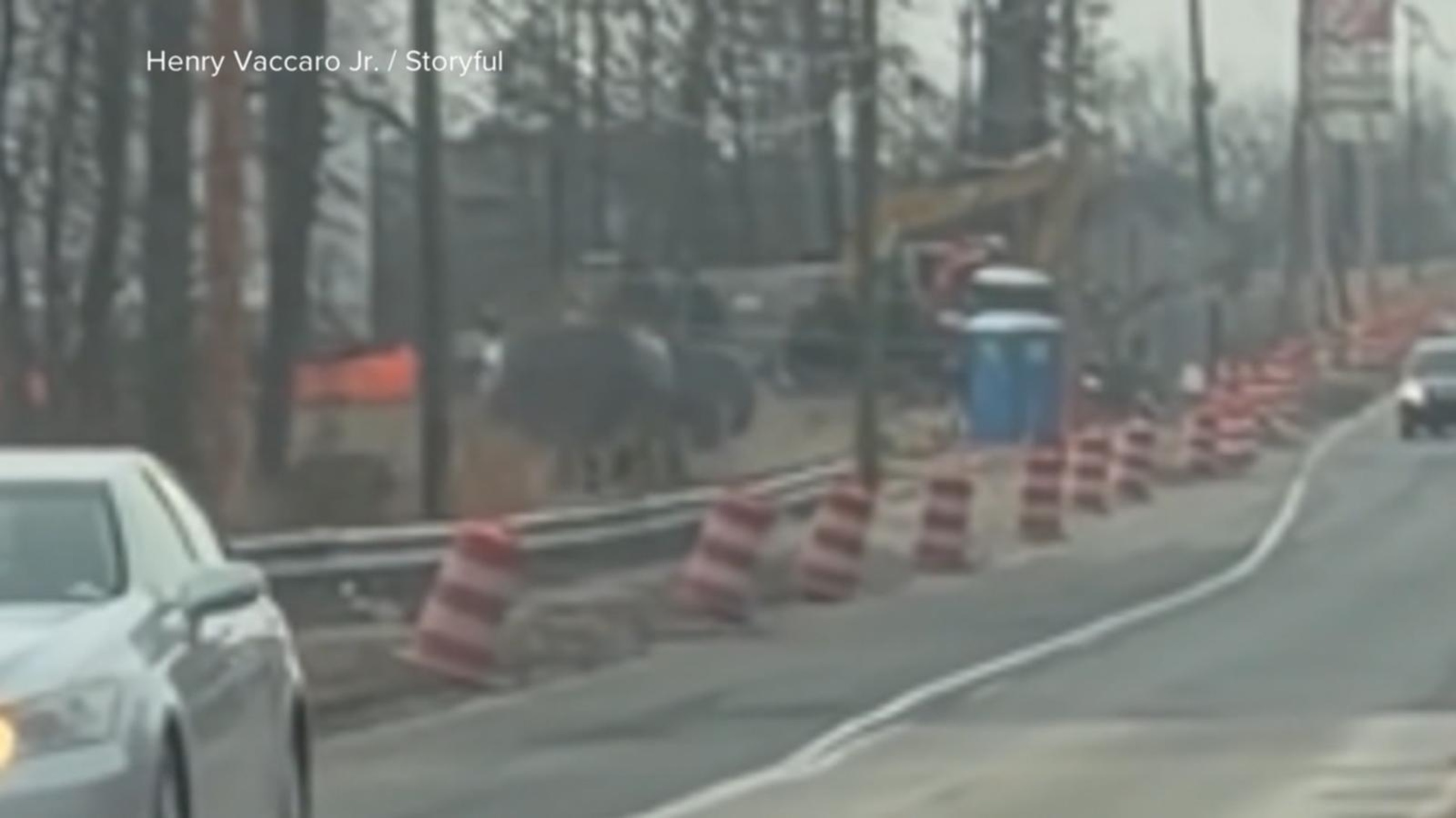 Video shows wild police chase in New Jersey end with BMW flipping ...