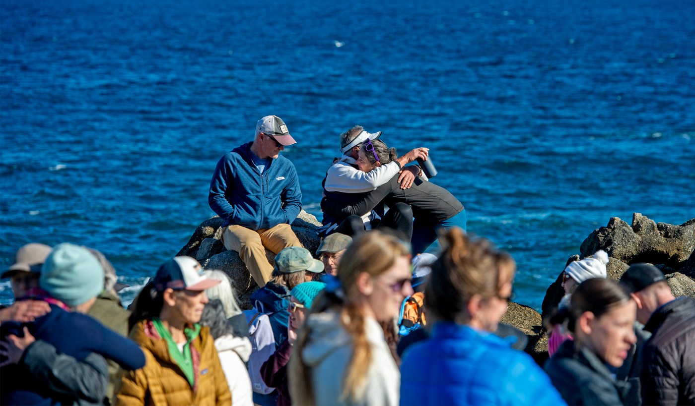 Authorities confirm shark killed swimmer Erica Fox at Lovers Point