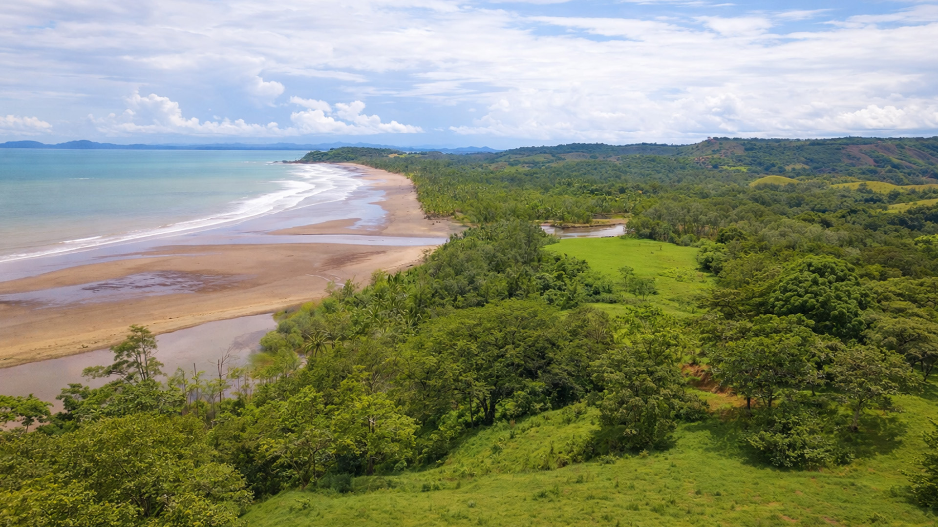 Where forest meets the sea