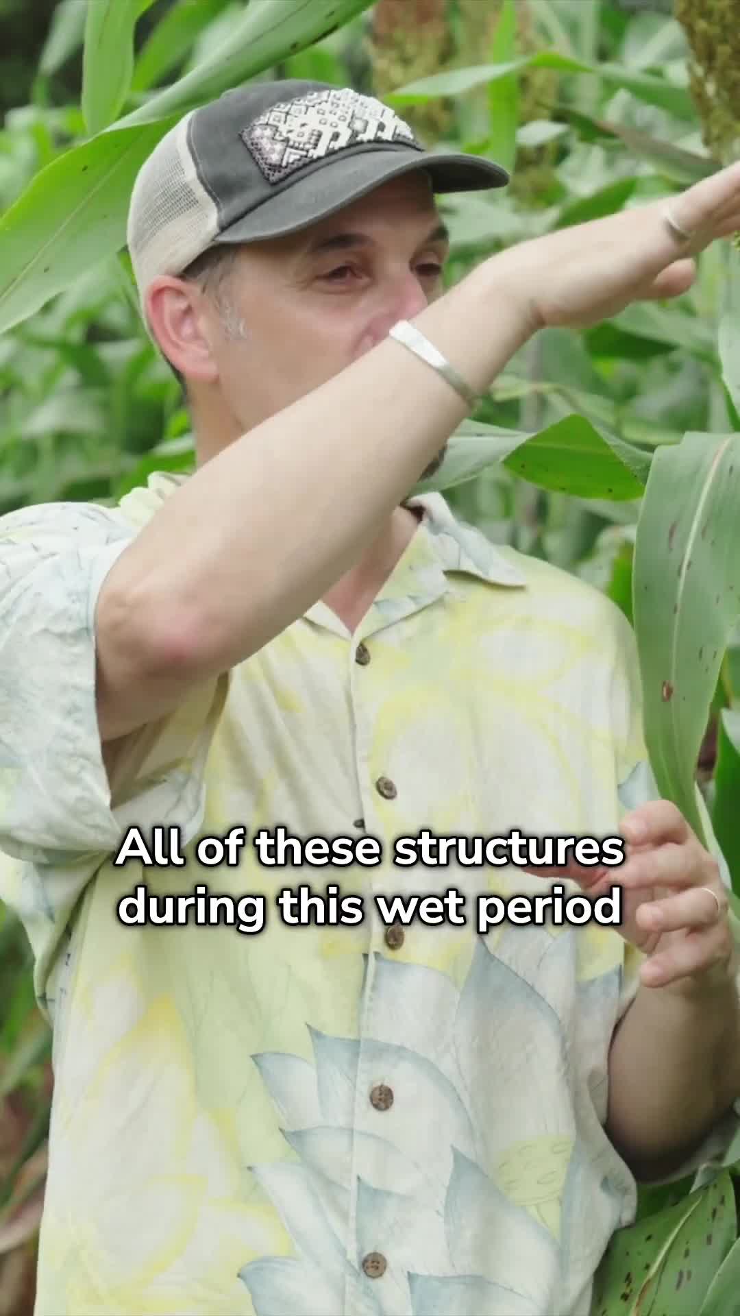 How we turned dry land into thriving wetlands