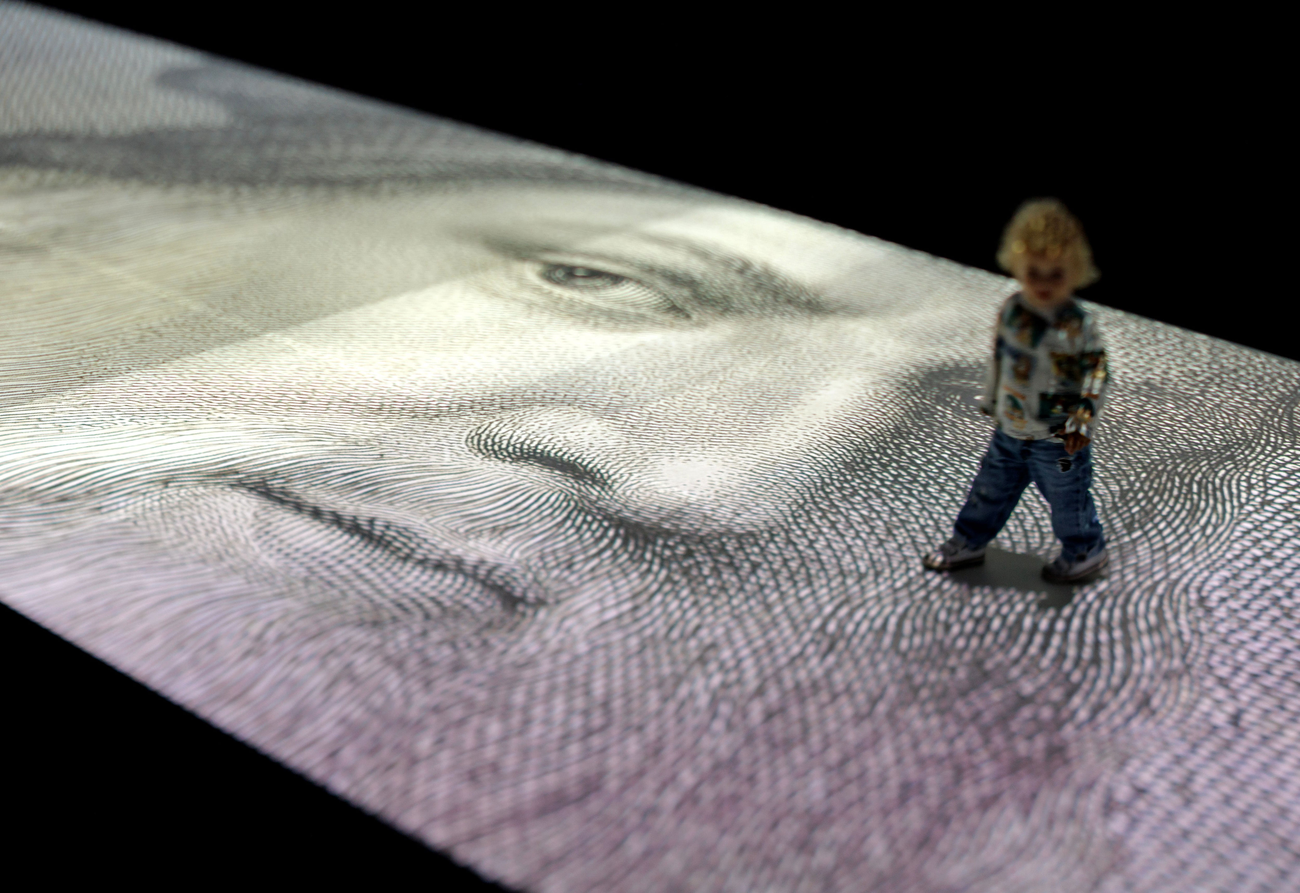 Leonardo da Vinci DNA discovered in Renaissance drawing