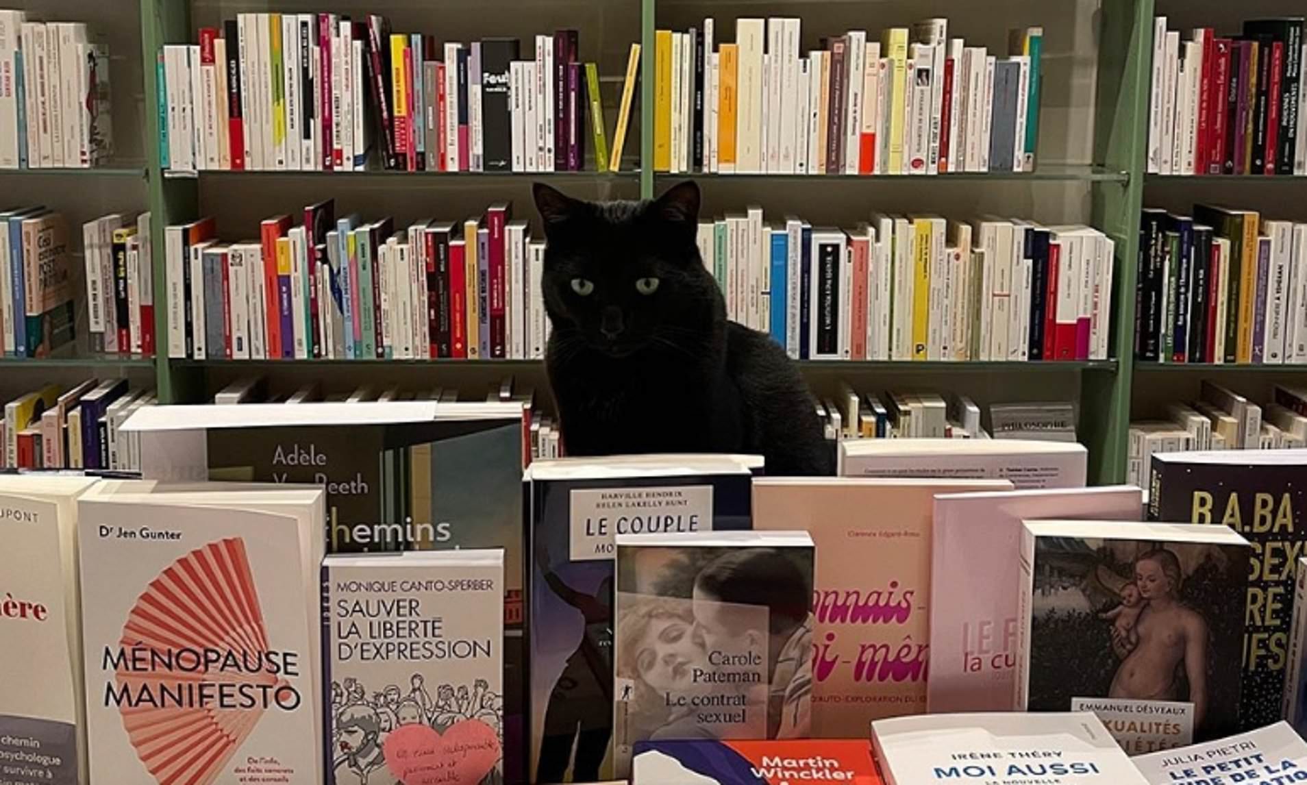 'Absolutely perfect' bookshop in London named best in the world - here ...