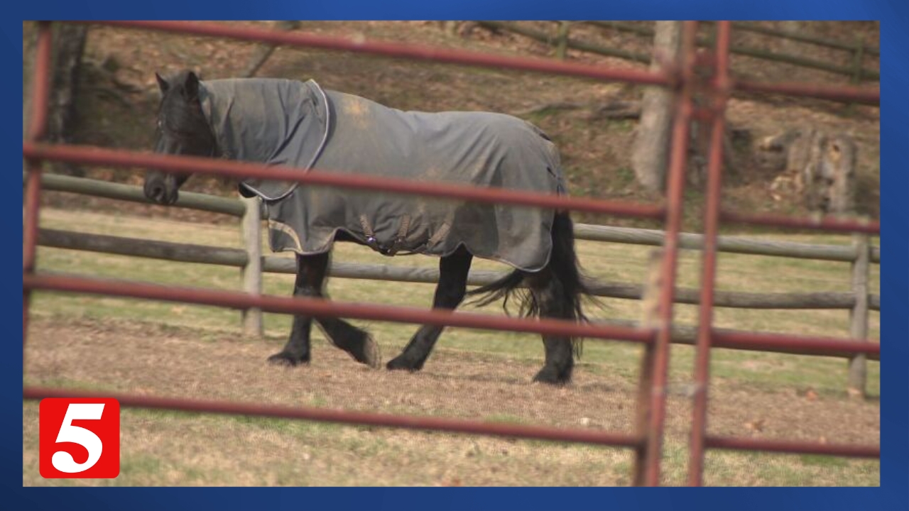 Drought impacts agriculture as temperature swings affect livestock health