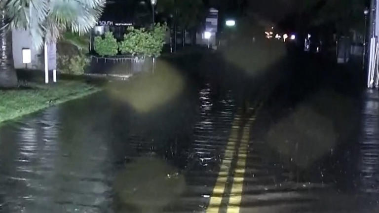 Tampa City Council votes to move forward with controversial flood project