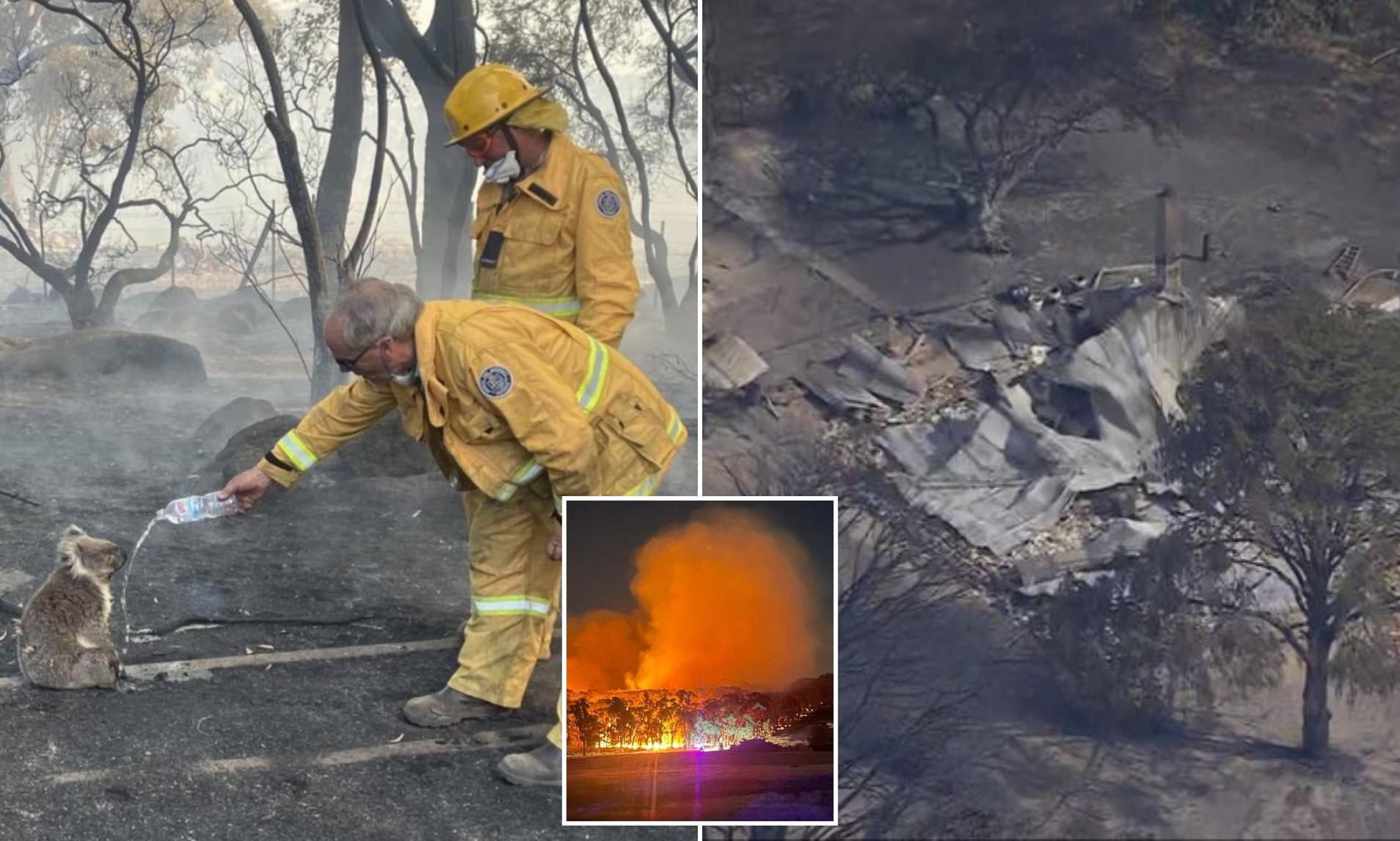 Urgent search for family missing after Victorian bushfire