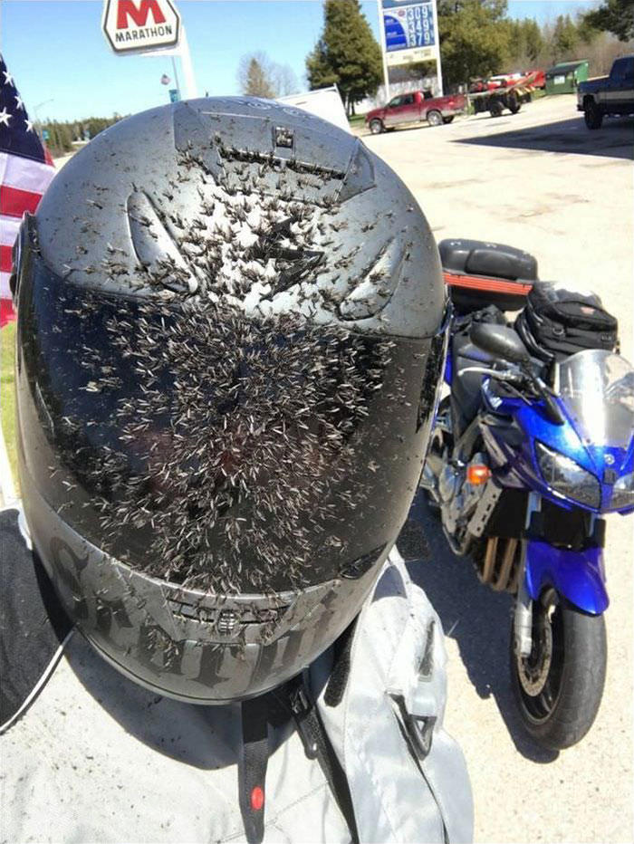 46 reasons why not wearing a helmet is the dumbest thing you can do