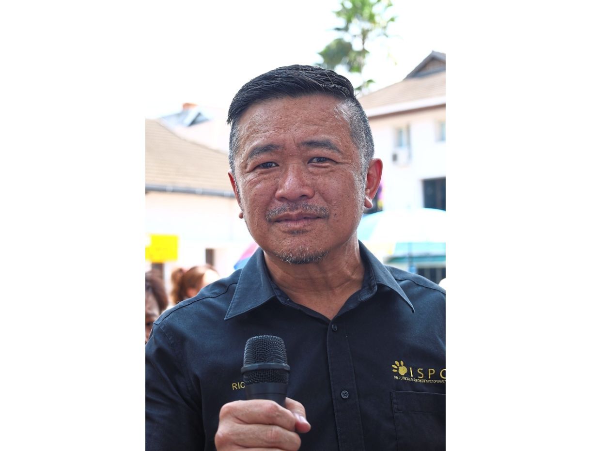 Concerted call to improve handling of strays in Ipoh