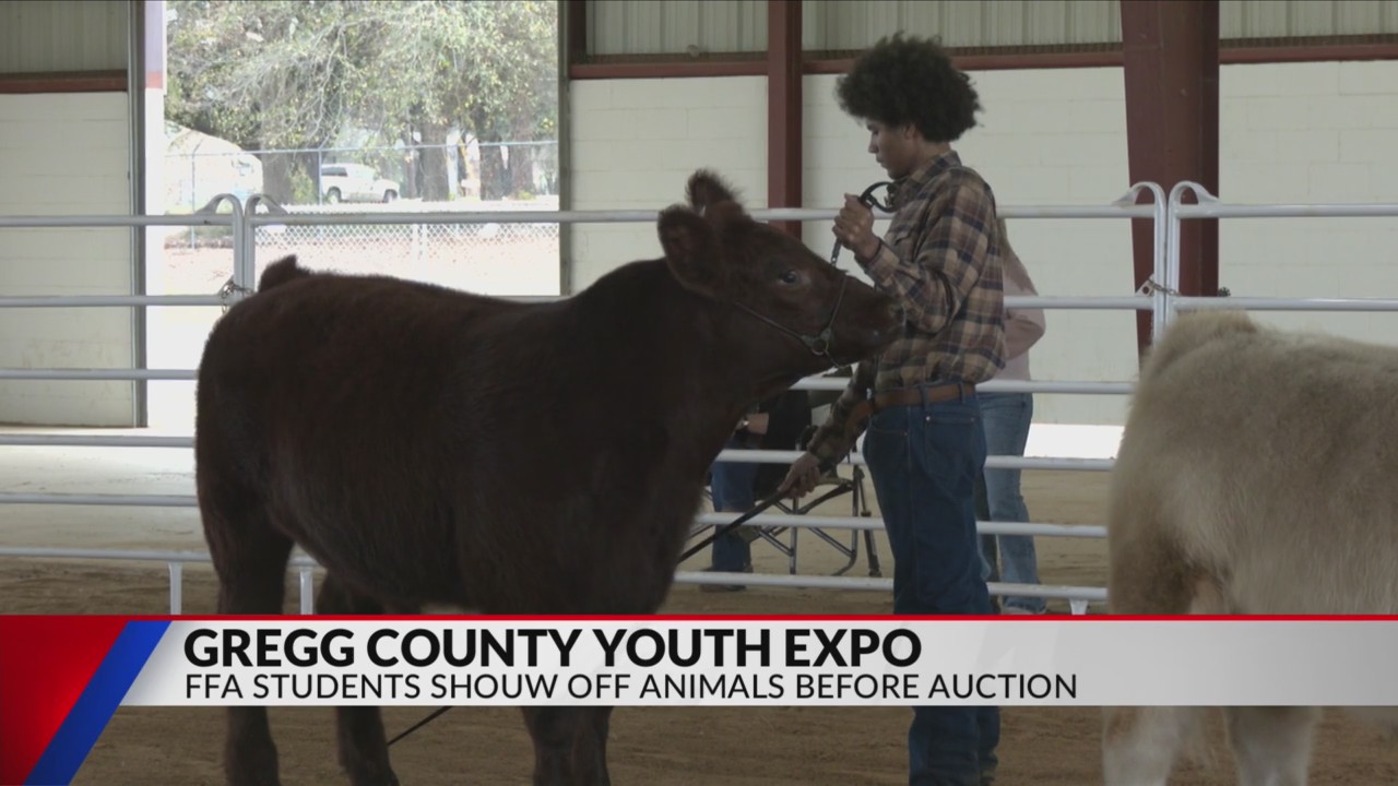 Gregg County Youth Expo celebrates agriculture, life skills