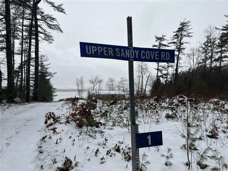 Calls grow for stronger animal ownership laws in NS after deadly dog attack