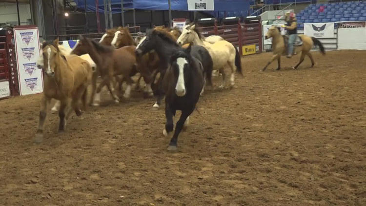 Sandhills Stock Show and Rodeo begins tonight