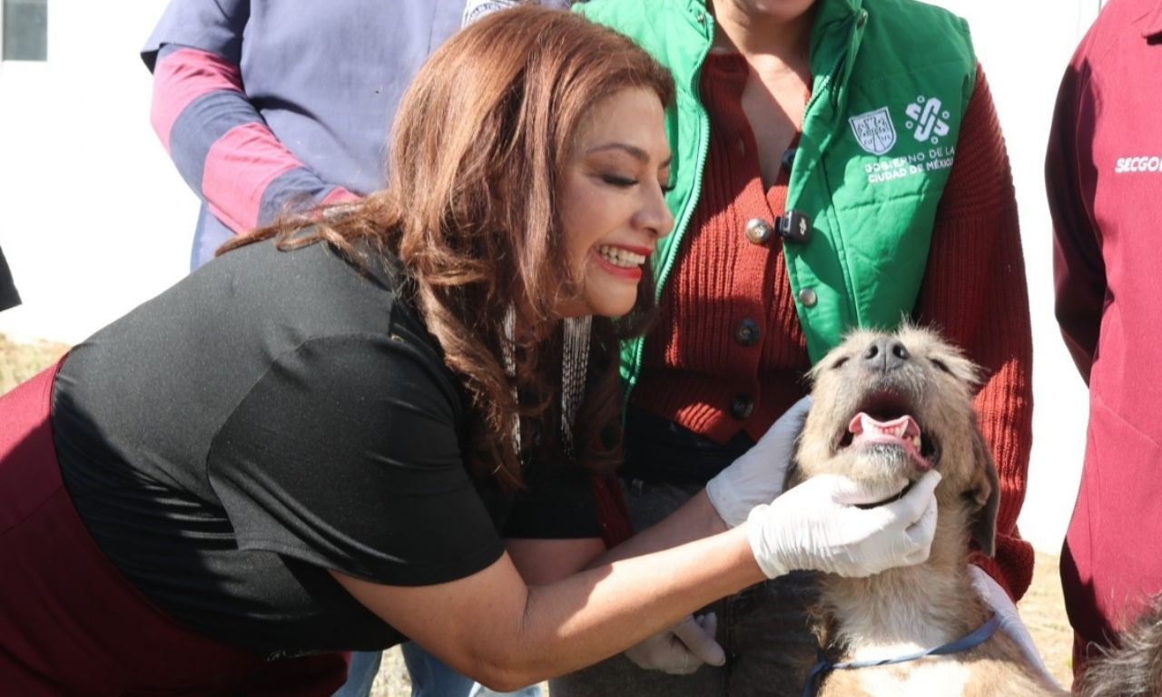 ¿Cómo adoptar a los perritos que fueron rescatados del albergue ...