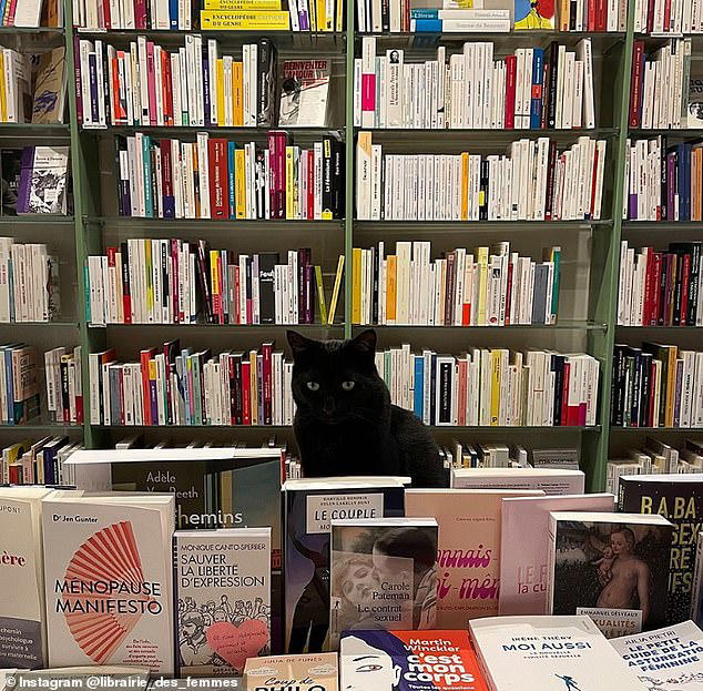 'Absolutely perfect' bookshop in London named best in the world - here ...