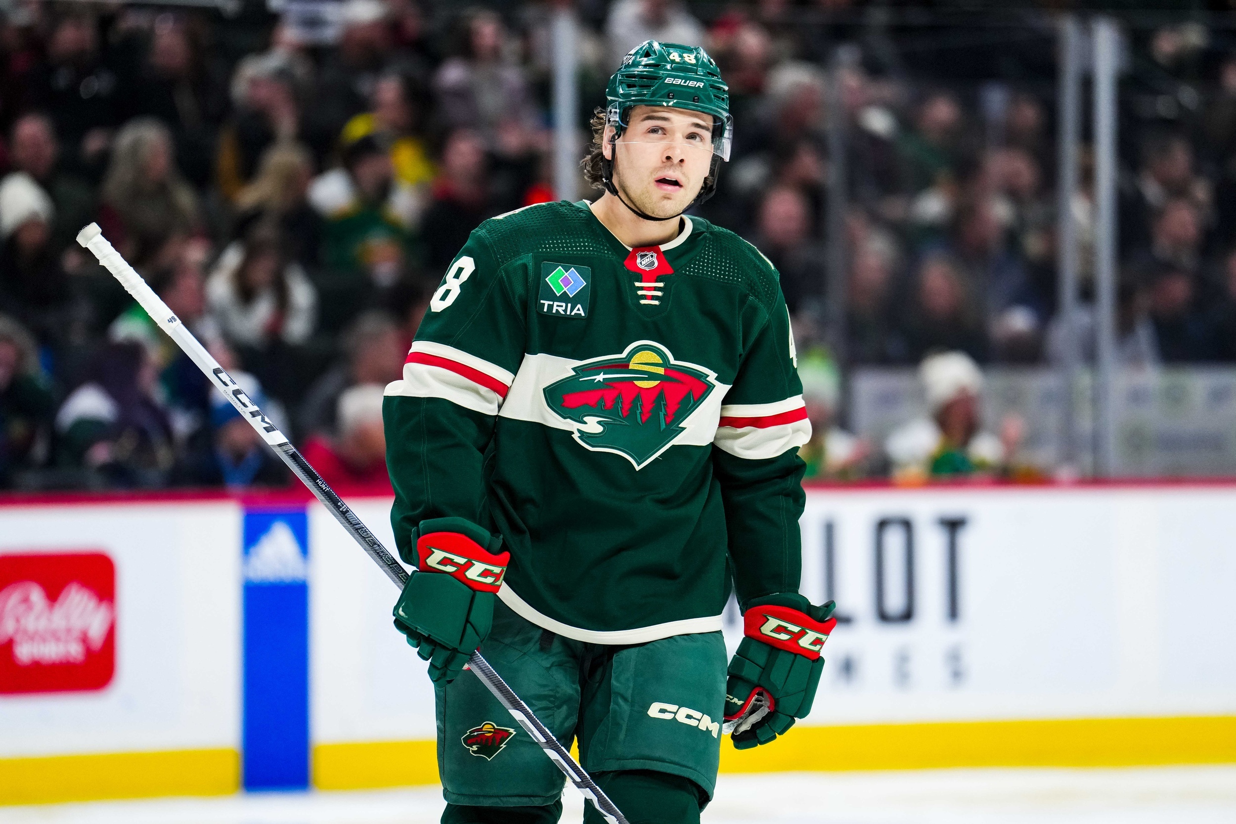 Wild activate Daemon Hunt, assign David Jiricek