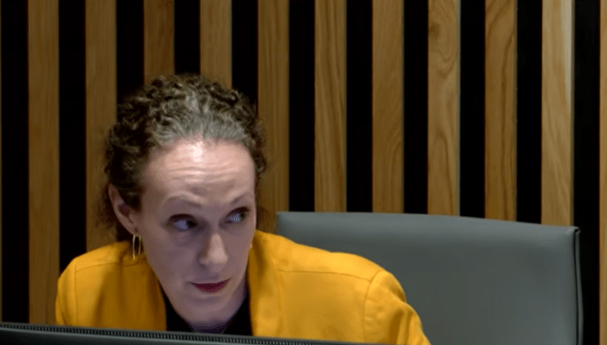 'Need to recess immediately': City Council halts meeting over SE ...