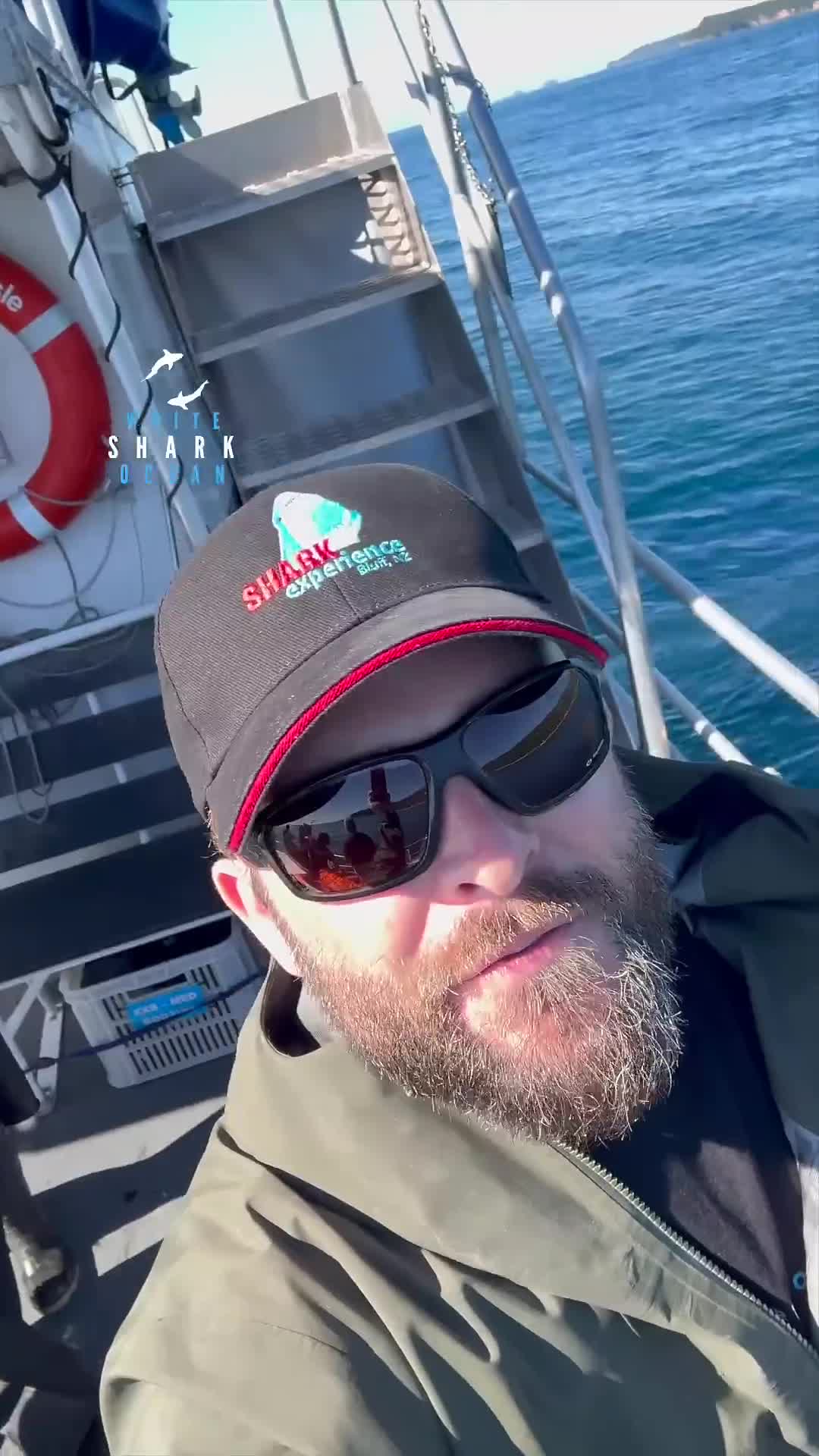 Great white shark update 28:02:2025