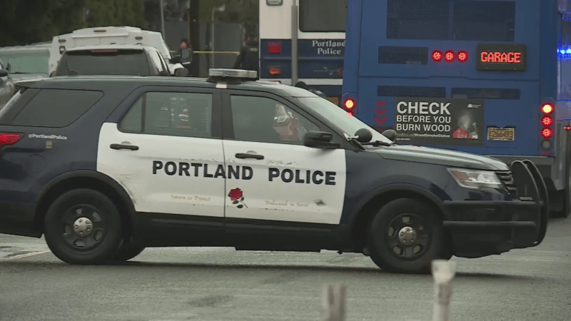 Two people shot by federal immigration agents in Portland, Oregon ...