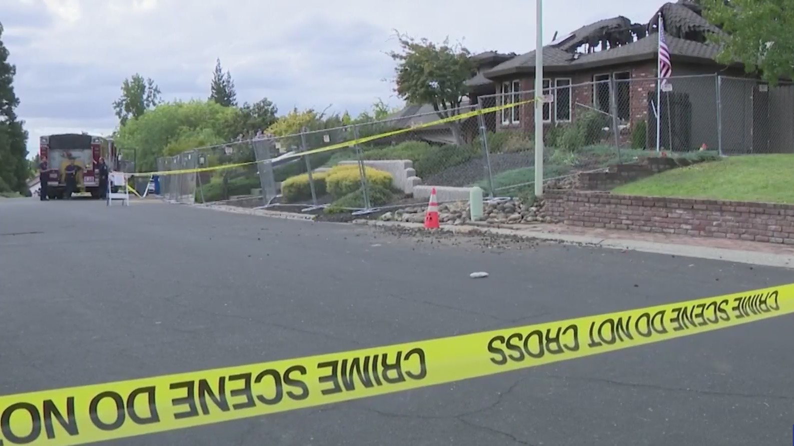 Veterinarian faces animal cruelty charges