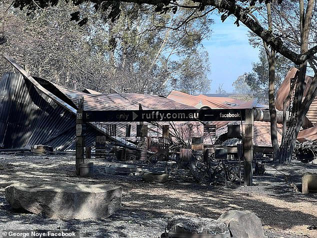Terrifying fire tornado is seen ripping through bushland as homes are ...