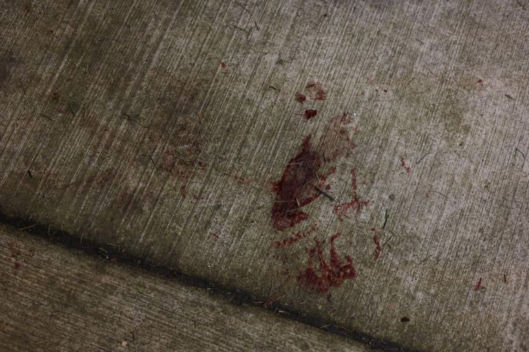 See Portland scene where Border Patrol shot 2 people