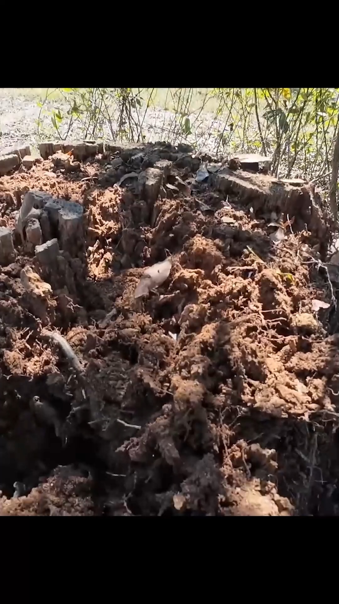 Lessons learned from a Tannerite test