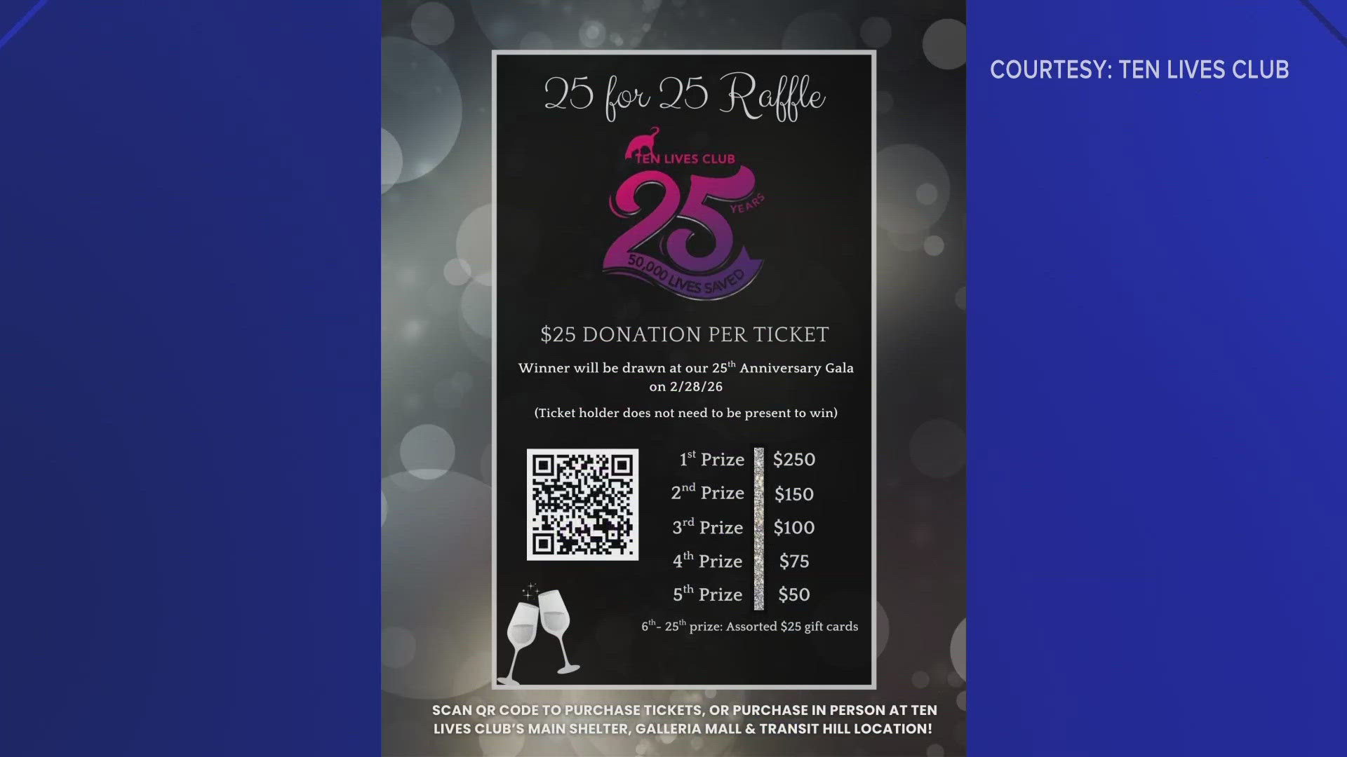 10 Lives Club 25th anniversary gala raffle