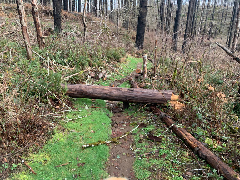 15 Oregon trails, hot springs, roads closed by storm damage