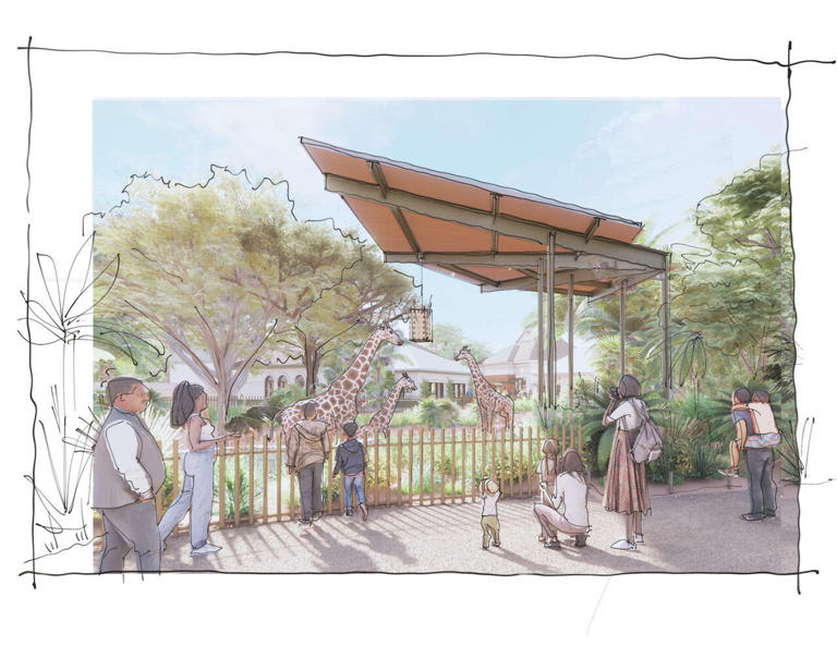A new look is taking shape at the Houston Zoo