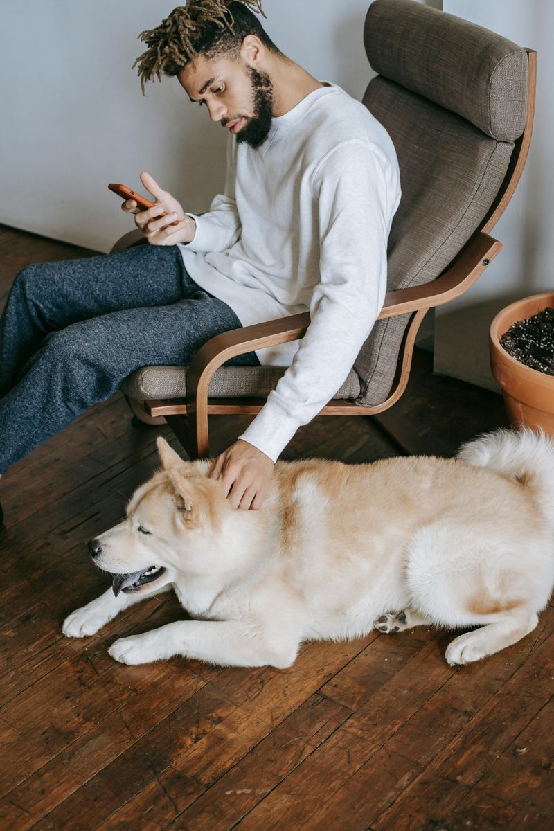 10 signs your dog is emotionally regulating around you