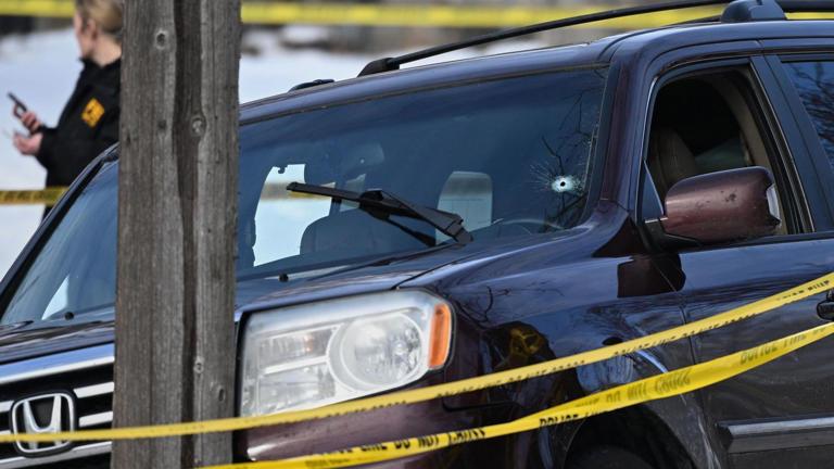What does the footage of the fatal Minneapolis ICE shooting show?
