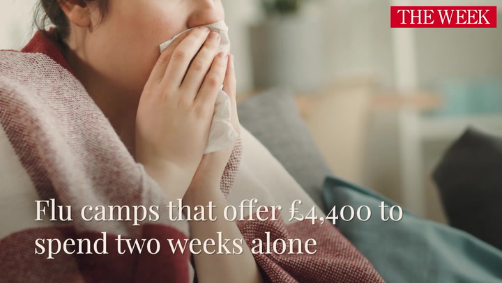 A flu camp is offering £4,400 to spend two weeks alone