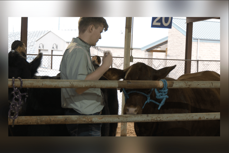 Gregg County Youth Expo celebrates agriculture, life skills