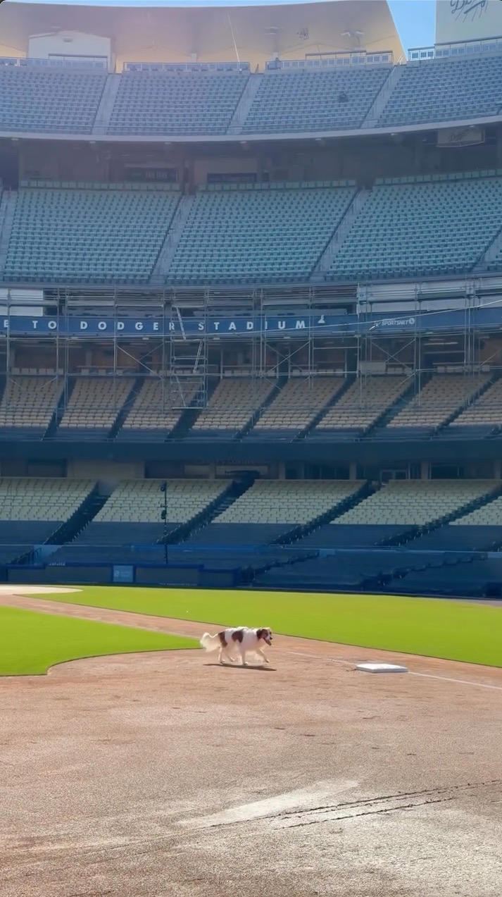 Shohei Ohtani and Decoy make an appearance at Dodger Stadium